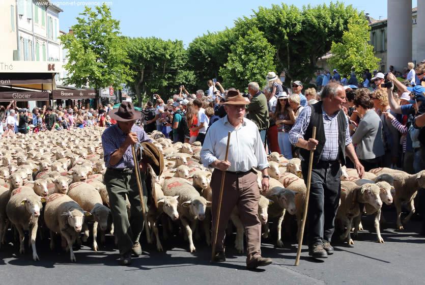 Our selection of Festivals in Provence - The Provence Magazine